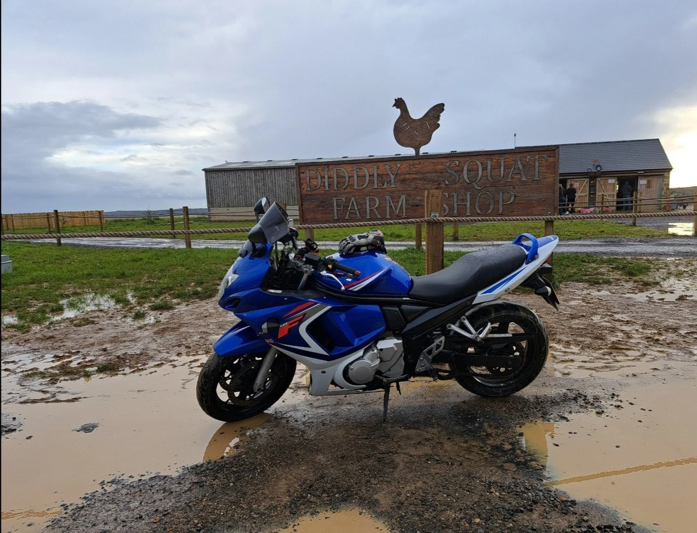 More Blue! Matt's New Suzuki GSX650F - Blog